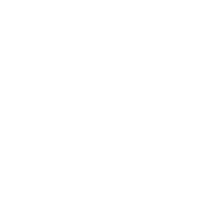 Wisdom College: Private Schools Brisbane