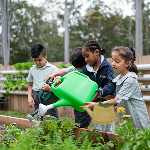 Our Curriculum Philosophy - Wisdom College