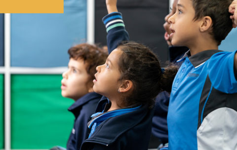 Wisdom College: Private Schools Brisbane